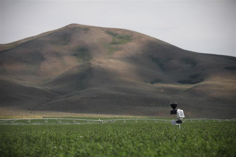 EnviroMonitor system for high alfalfa yield — Davis Instruments