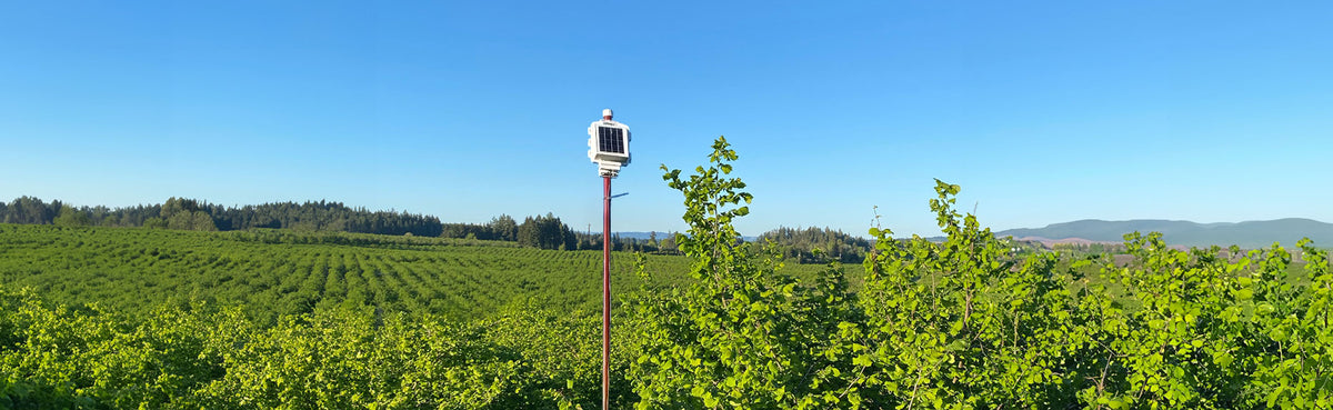 How Four Ridge Orchards Built a Profitability-Boosting EnviroMonitor ...