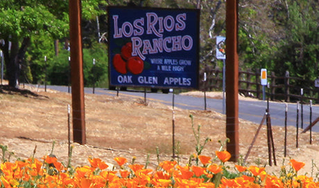 No Login Required: Apple Ranch Uses WeatherLink Embed Link to Tout its ...