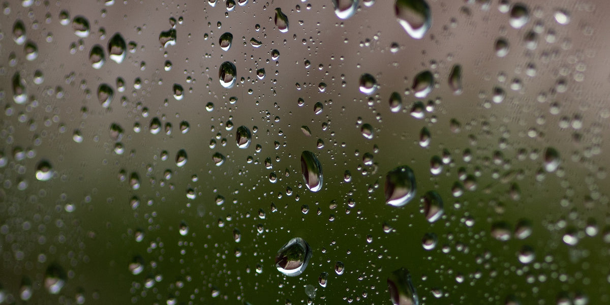 How to Measure Humidity: A Complete Guide — Davis Instruments